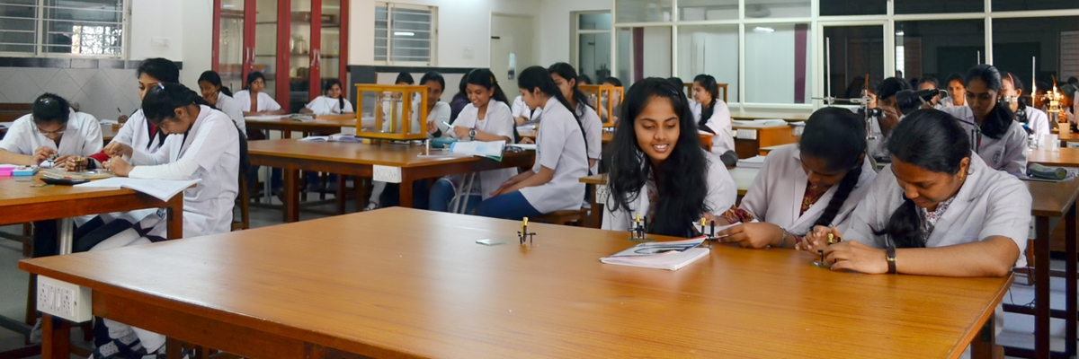 Mount Carmel PU College