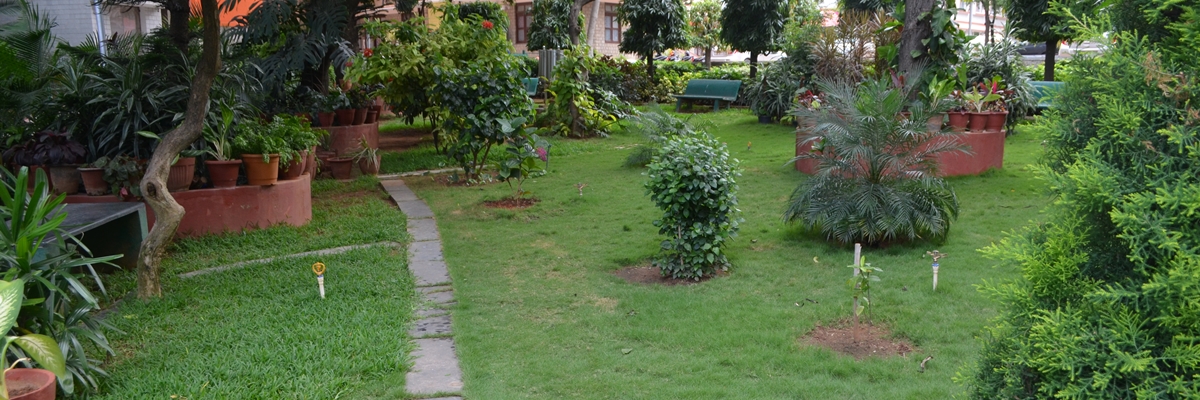 Mount Carmel PU College